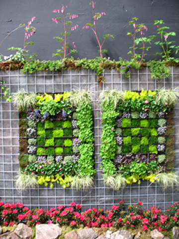 How to make the most of a small garden